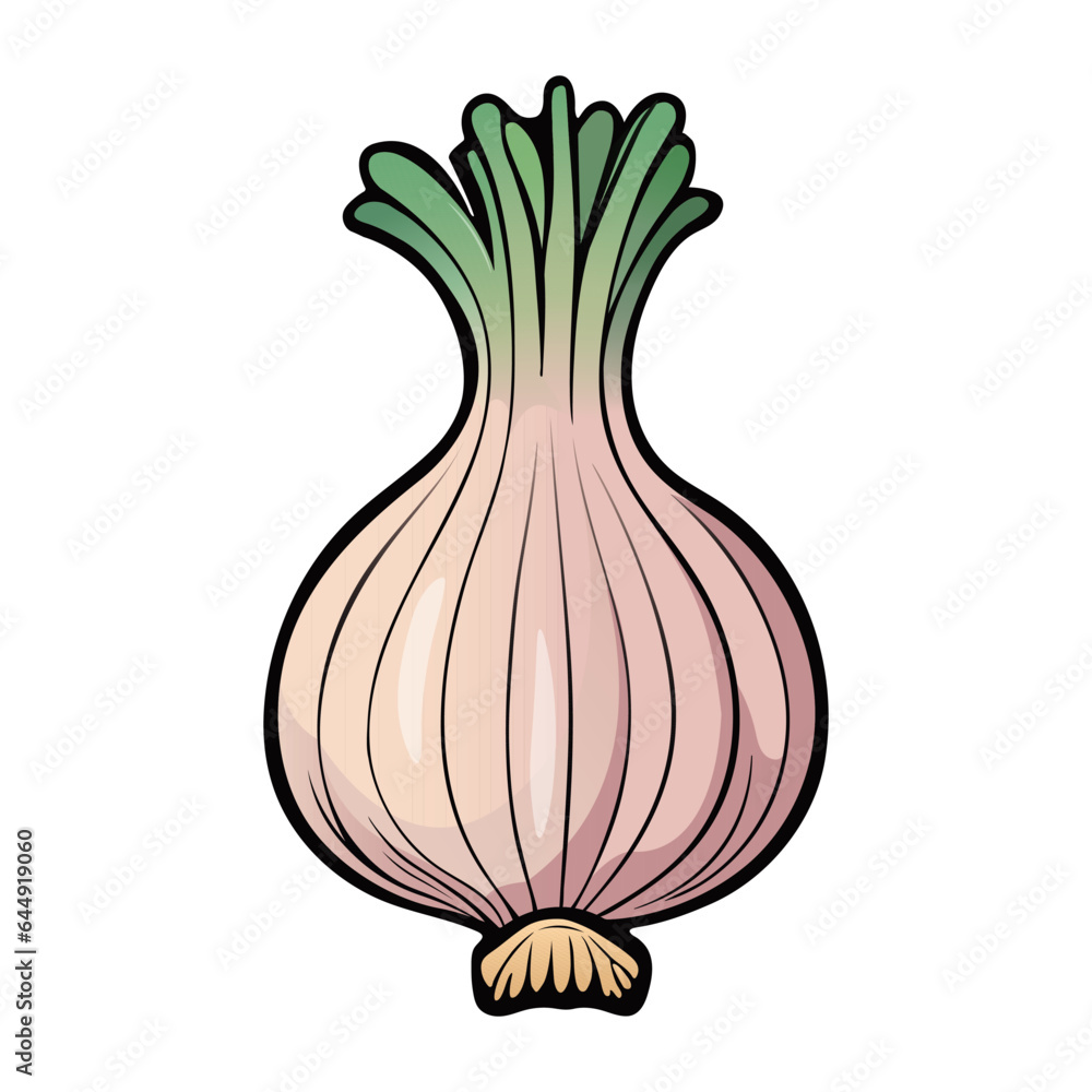 Vector illustration of fresh Onion bulb. Healthy food and vegetables ...