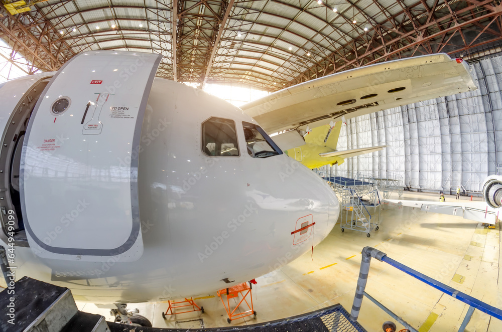 Cockpit outside and nose of an airplane with an open door, jet airliner ...