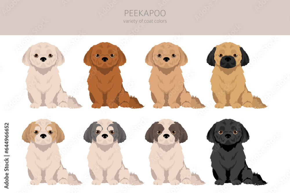 Poster Peekapoo clipart – Wall Art | UkPosters