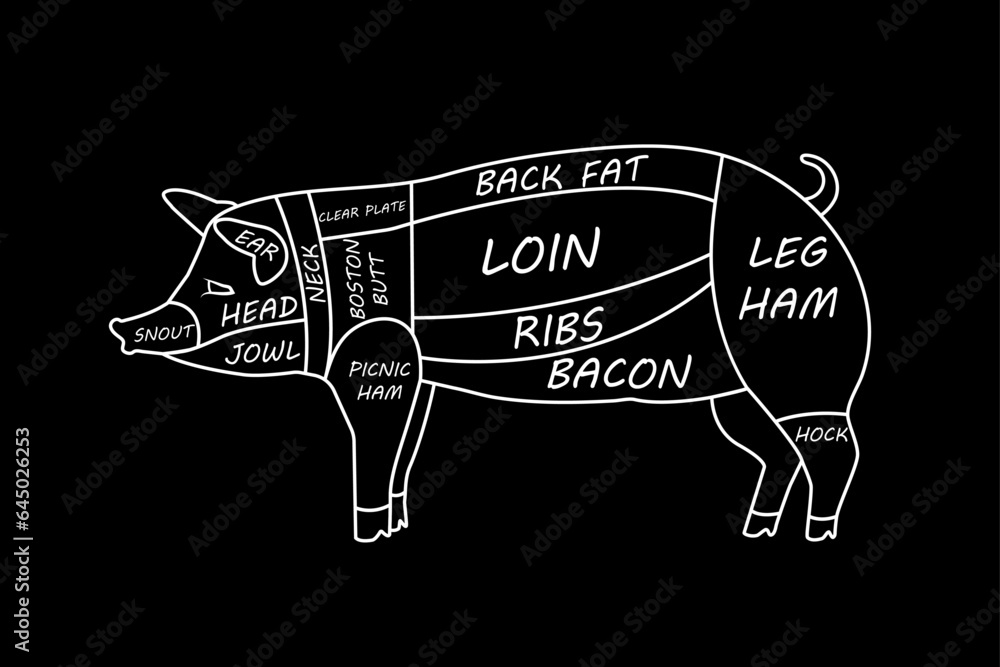 Pork divided into pieces with the name of its body parts for butchers ...