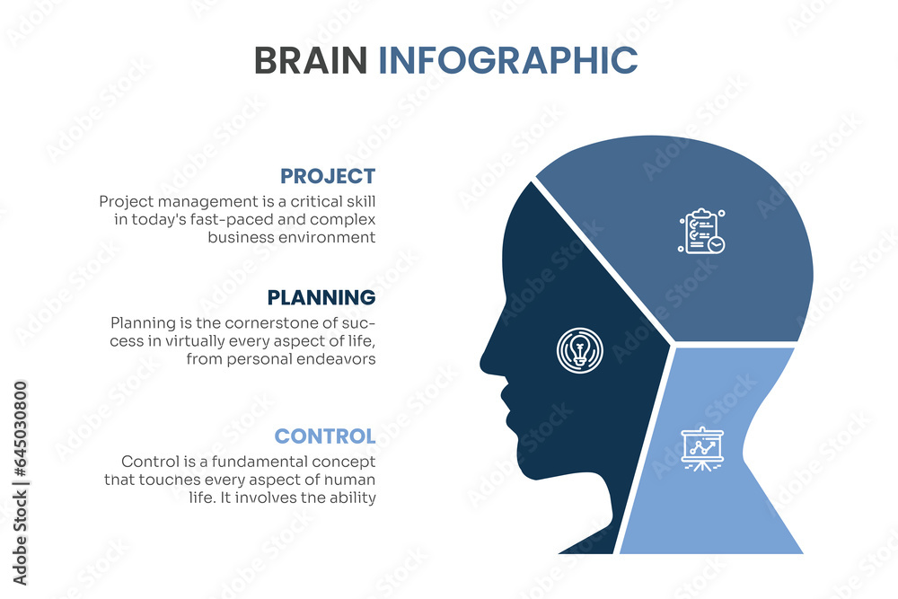 Vector Brain infographic Set. Template for human head diagram, graph ...