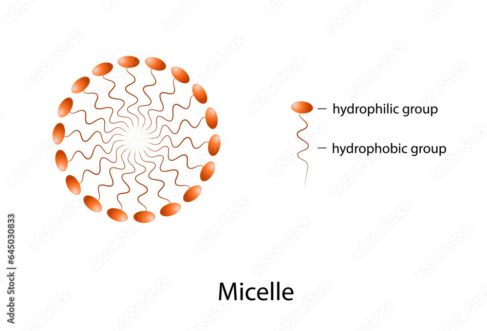 A micelle or micella is an aggregate of surfactant amphipathic lipid ...