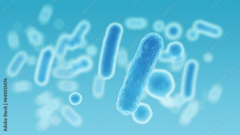 Enterobacteriaceae, gram-negative rod-shaped bacteria, part of ...