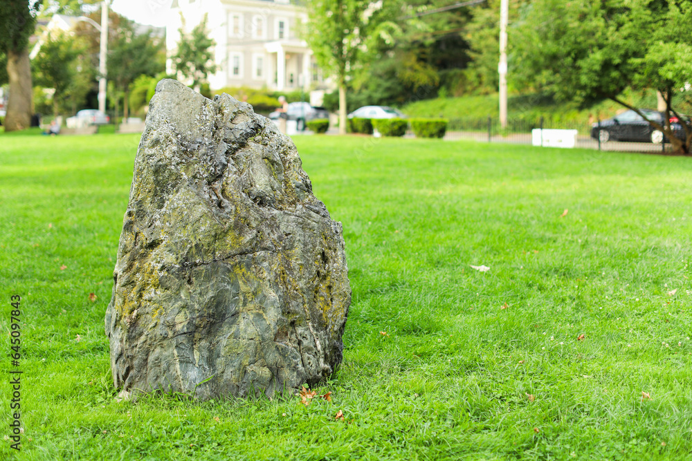 Stone textures embody Earth's enduring strength, a timeless symbol of ...