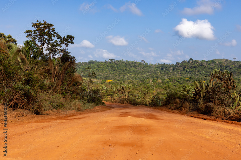 Driving on the famous earth road Transamazonica towards Santarém ...