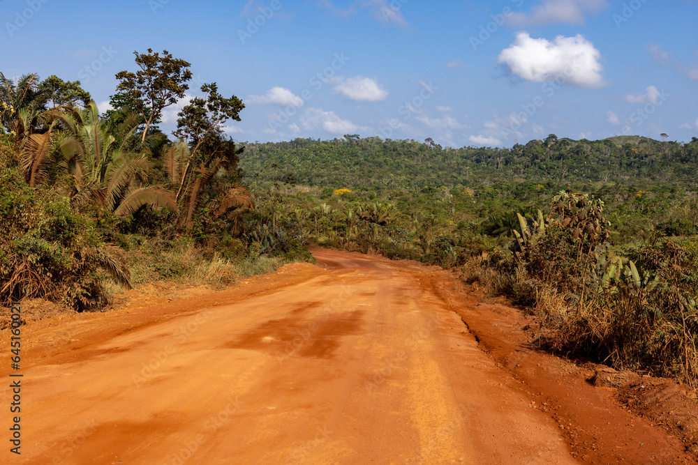 Driving on the famous earth road Transamazonica towards Santarém ...