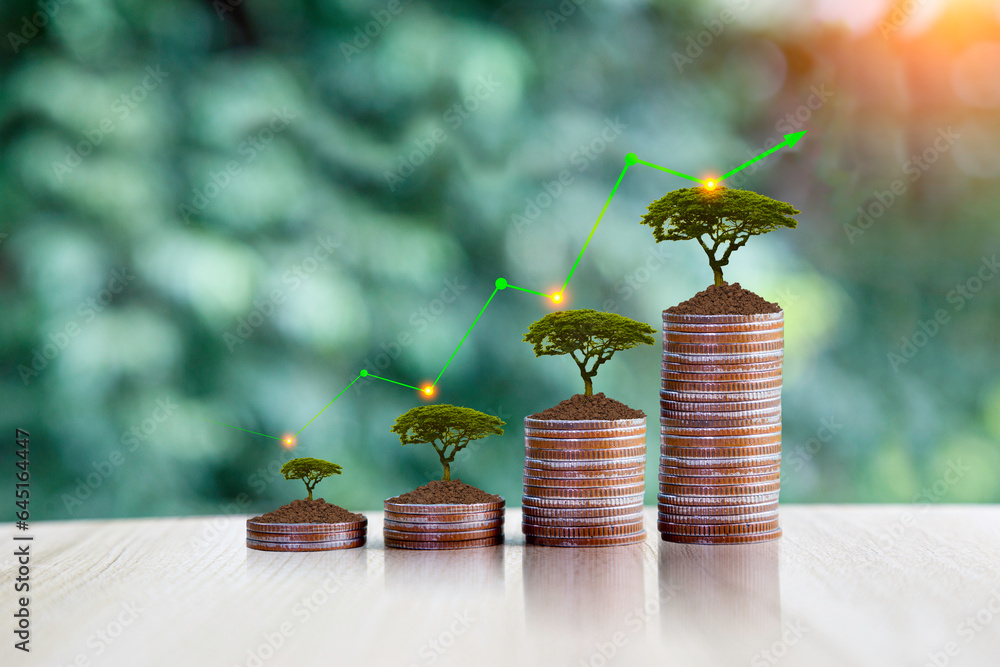 invest concept. Green tree growing on gold coins. Growing power of ...