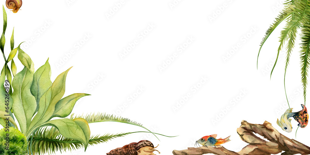 Hand drawn watercolor aquarium fish, algae and sealife. Marine exotic ...