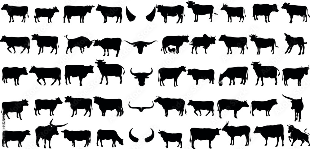 Poster Cow silhouettes, vector illustration of different types of cows ...