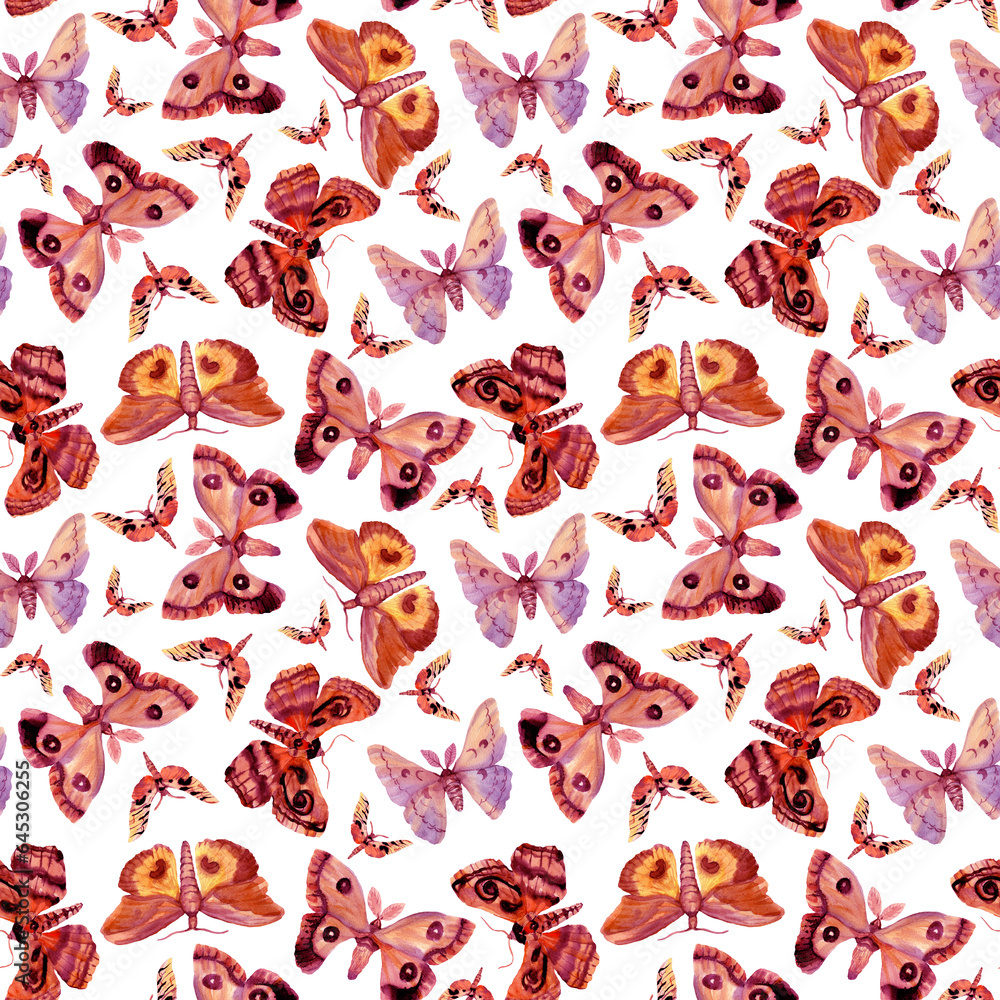 Watercolor Hand drawn Twilight moth. Seamless pattern with hawk moth ...