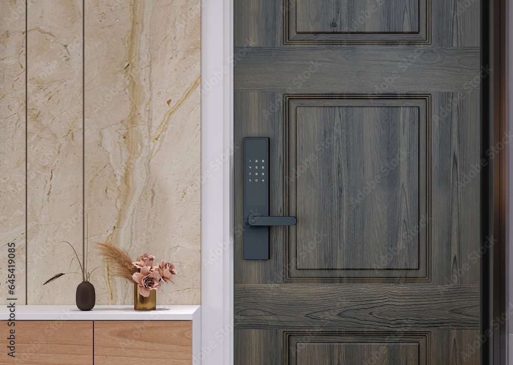 Digital door lock systems for good safety of home apartment door ...