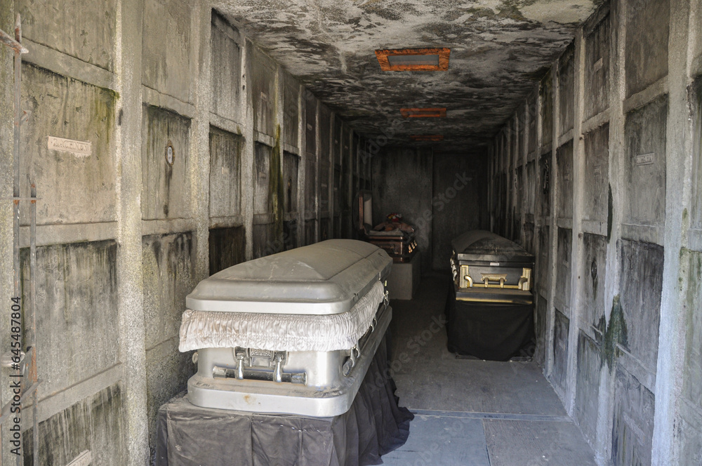 Casket and spooky cemetery and scary things. Stock Photo | Adobe Stock