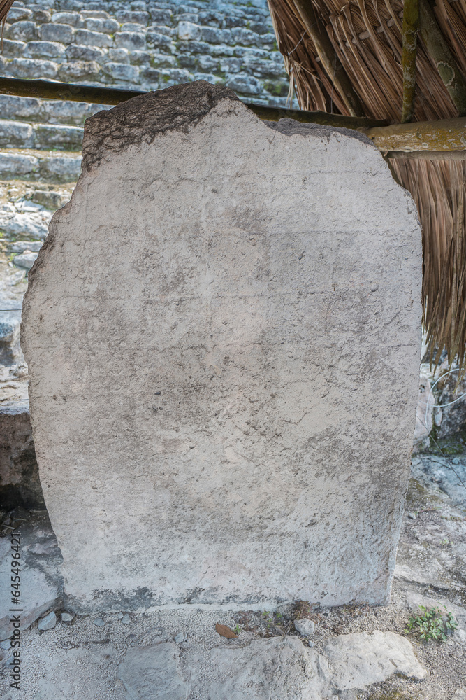 Coba, Mexico, Dez 2017, Maya Stelaes This monument is carved in the ...