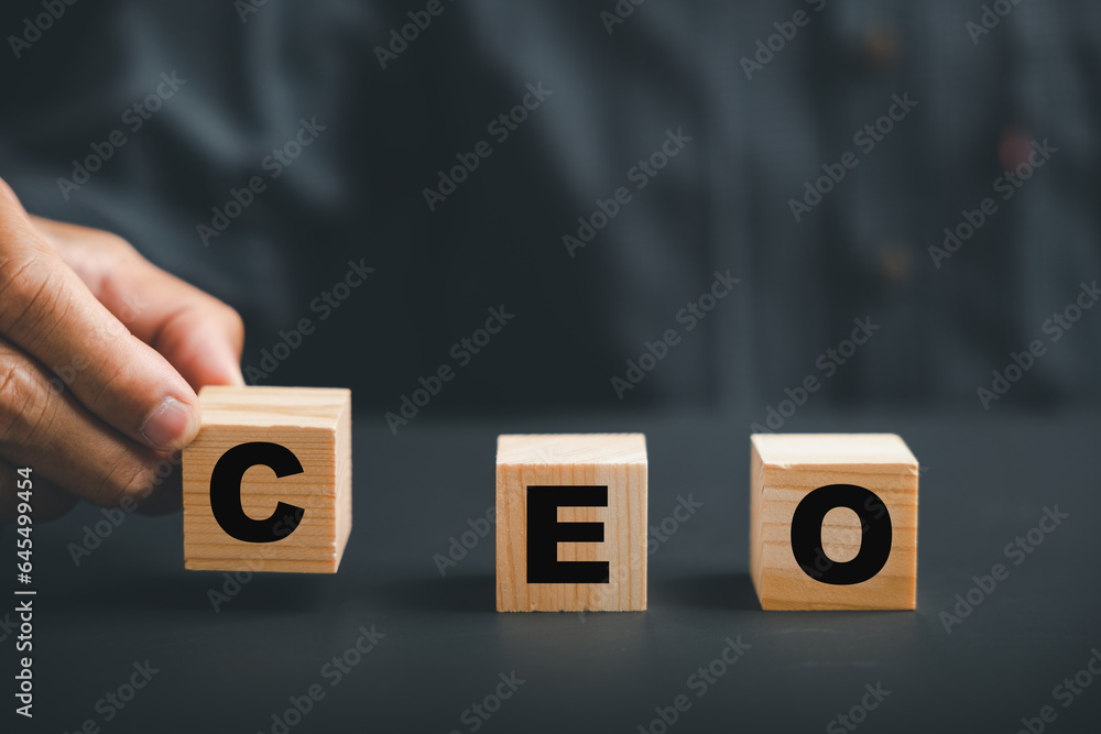 CEO symbol, Businessmans hand picks up wooden cube with CEO text. HR ...
