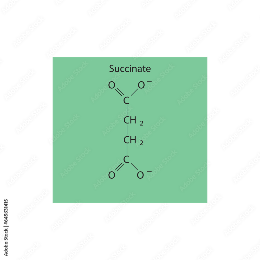 Succinate Dicarboxylic Acid - intermediate in the citric acid cycle ...