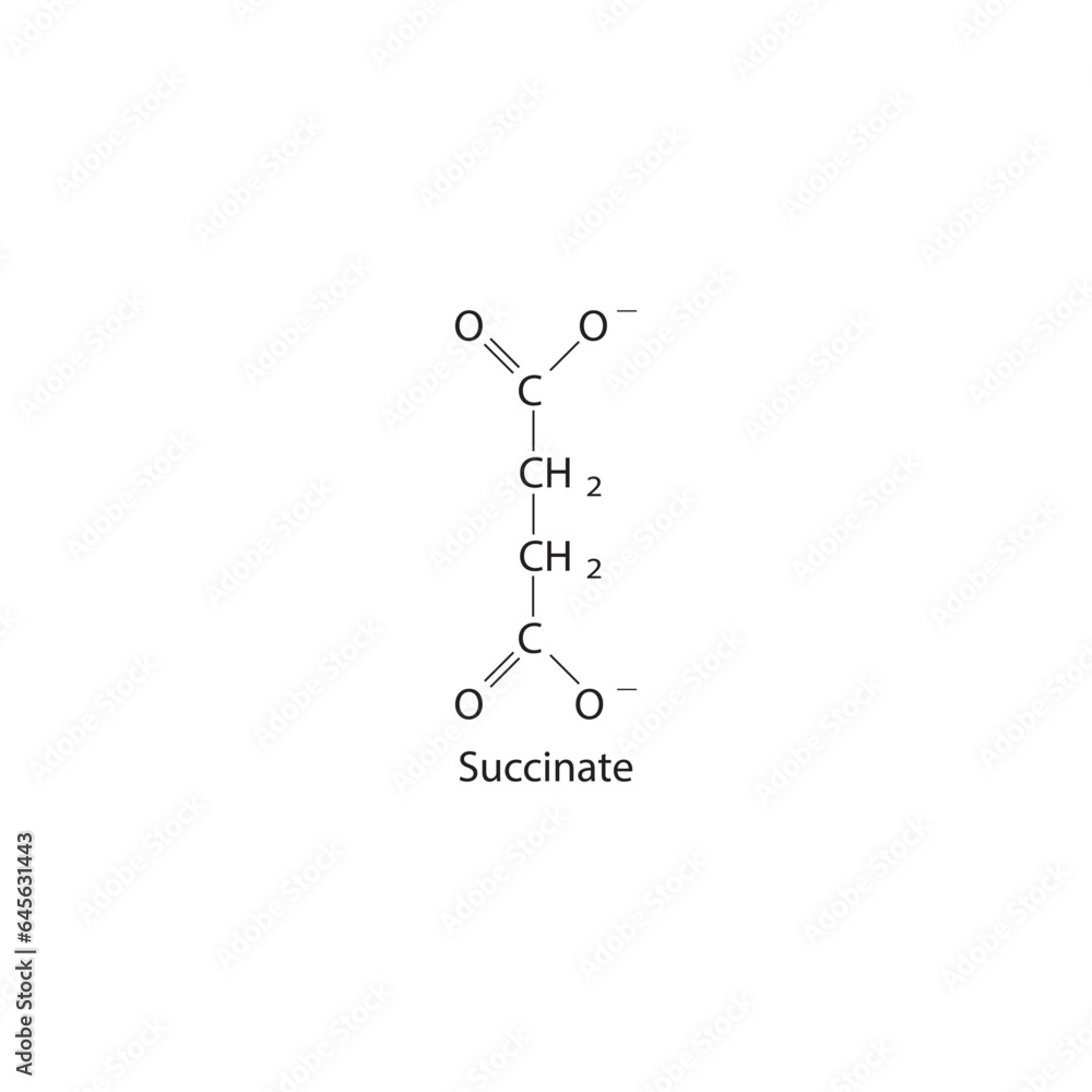 Succinate Dicarboxylic Acid - intermediate in the citric acid cycle ...