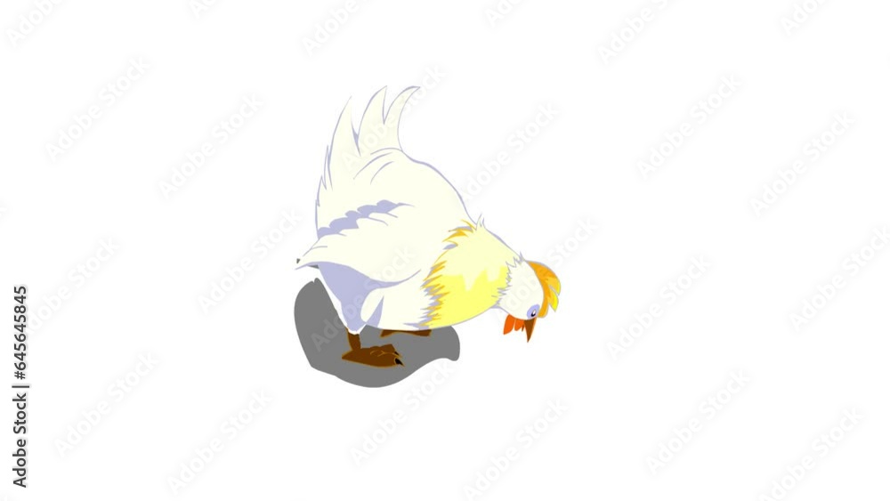cartoon chicken eating background and 2d animation bird animal, hen ...