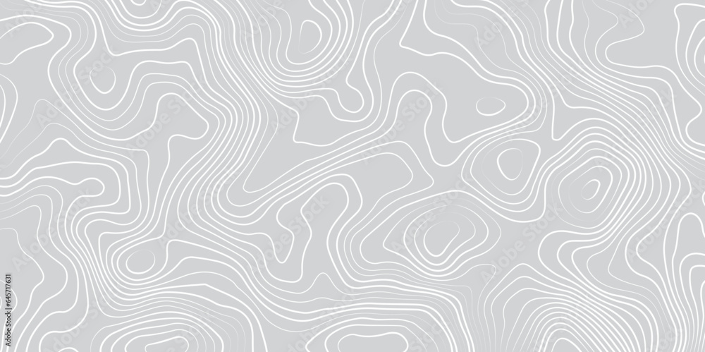 Topographic contours map background. Topography geographic white lines ...