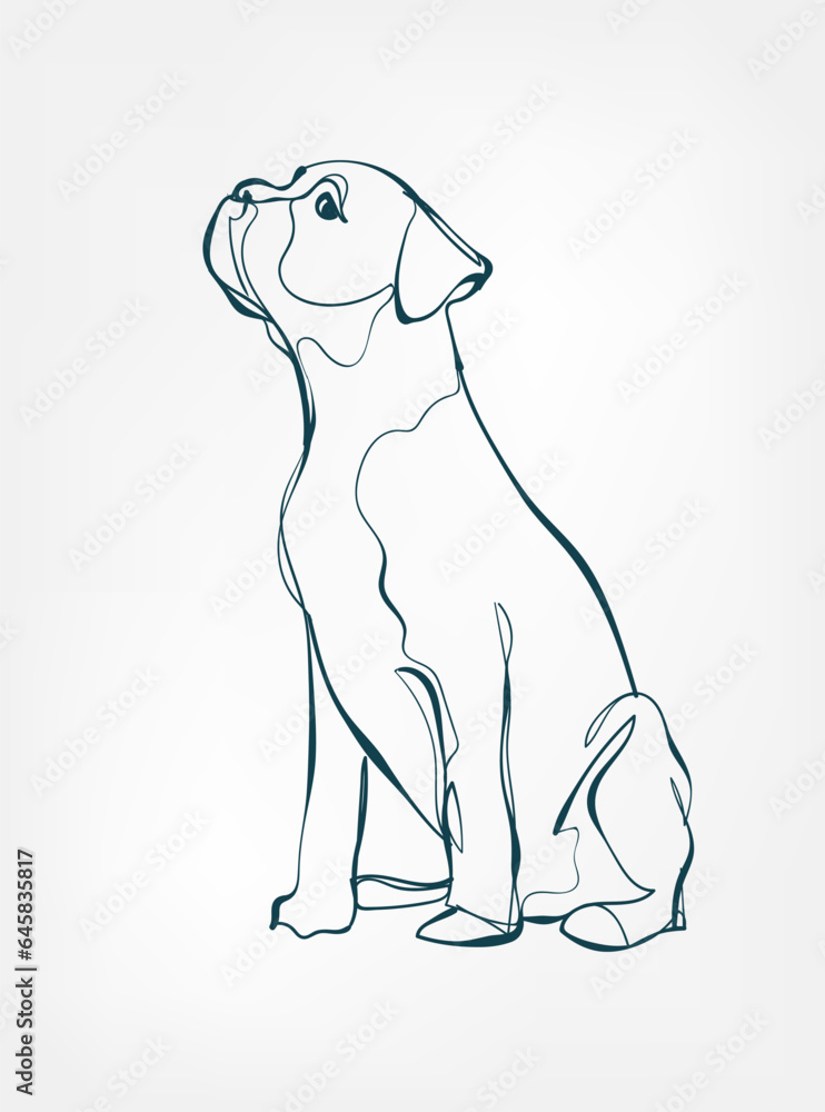 Boxer dog breed animal vector line art one line sketch outline Stock ...