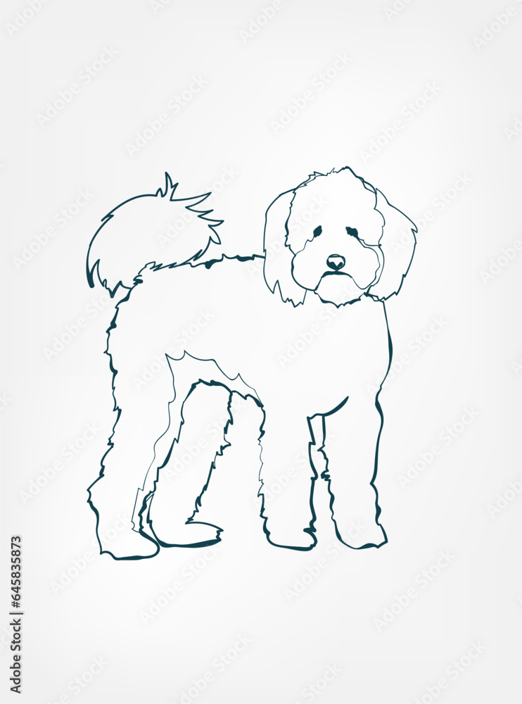Labradoodle dog breed animal vector line art one line sketch outline ...