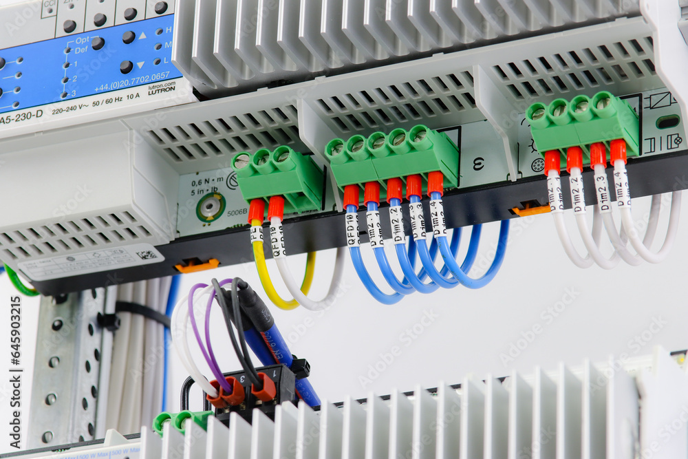 Screw electrical pass-through terminals for connecting electrical ...