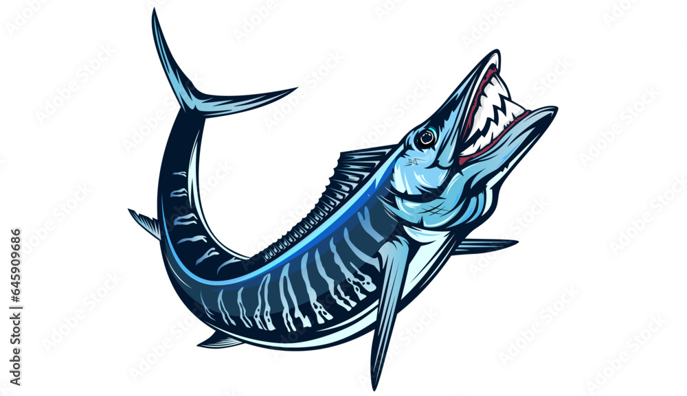 Vector Illustration of a wahoo. Acanthocybium solandri. A scombrid fish ...