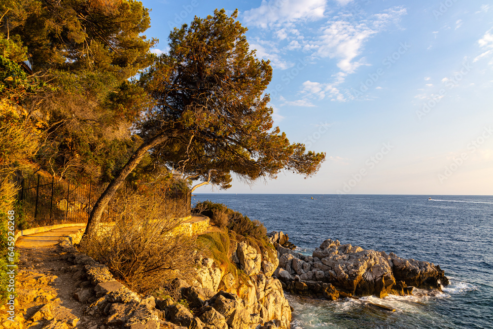 Rocks and cliffs shoreline sunset landscape of Cap Ferrat cape hosting ...