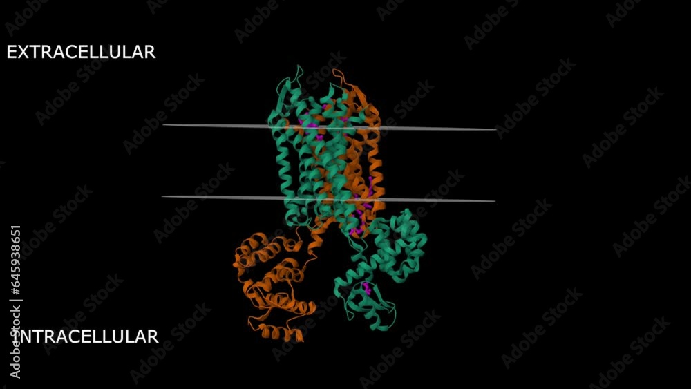 Structure of the human kappa opioid receptor in complex with JDTic ...