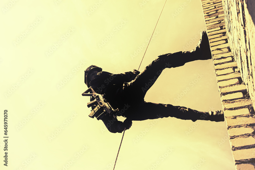 Silhouette of police officer in tactical gear descending from a height ...