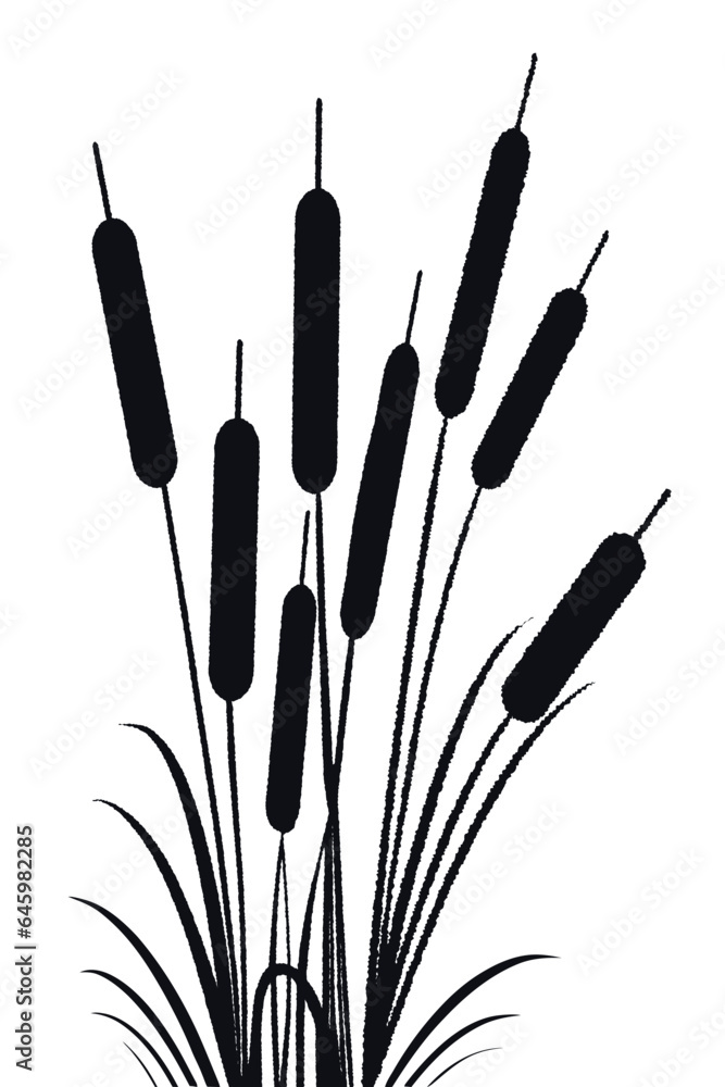 Reed, ornament for stencil. Black outline on a transparent background ...