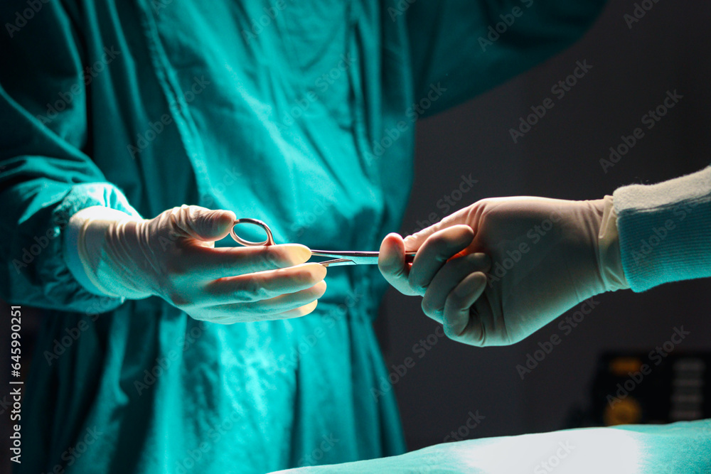 Surgeon doctor holding surgical scissors and passing surgical equipment ...