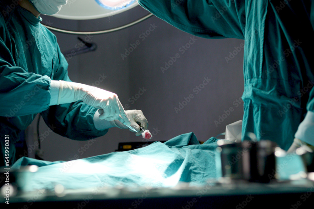 Foto Stock Surgeon doctor holding surgical using surgical equipment to ...