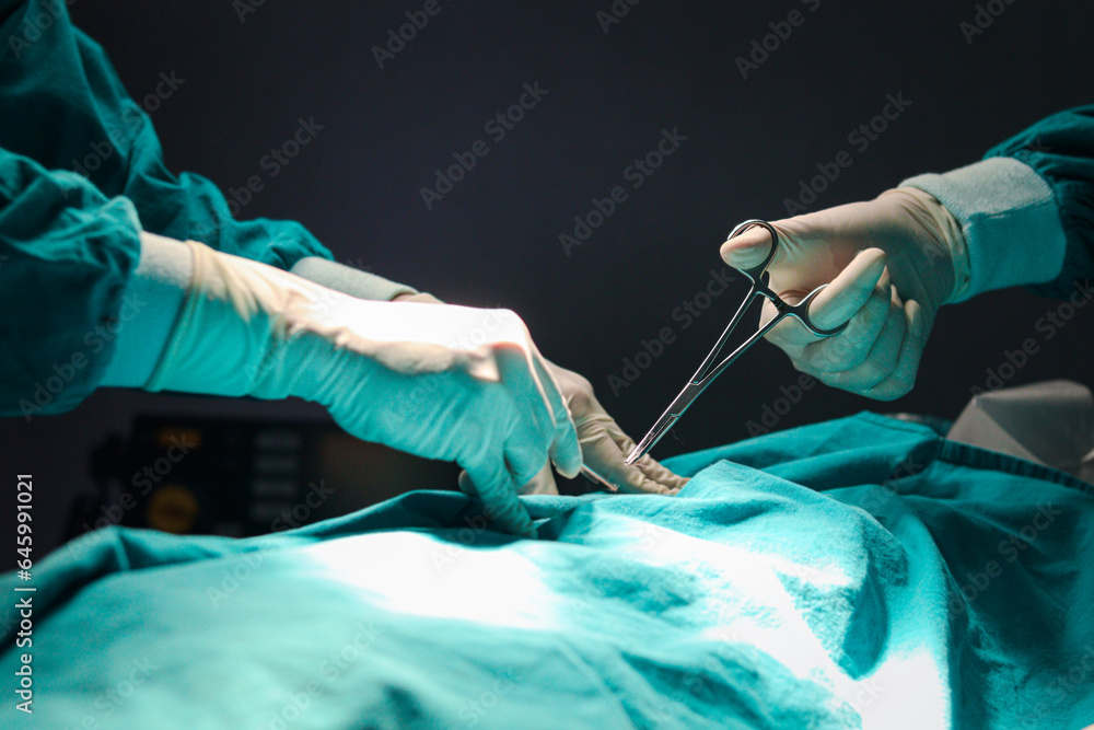 Surgeon doctor holding surgical using surgical equipment to do surgery ...
