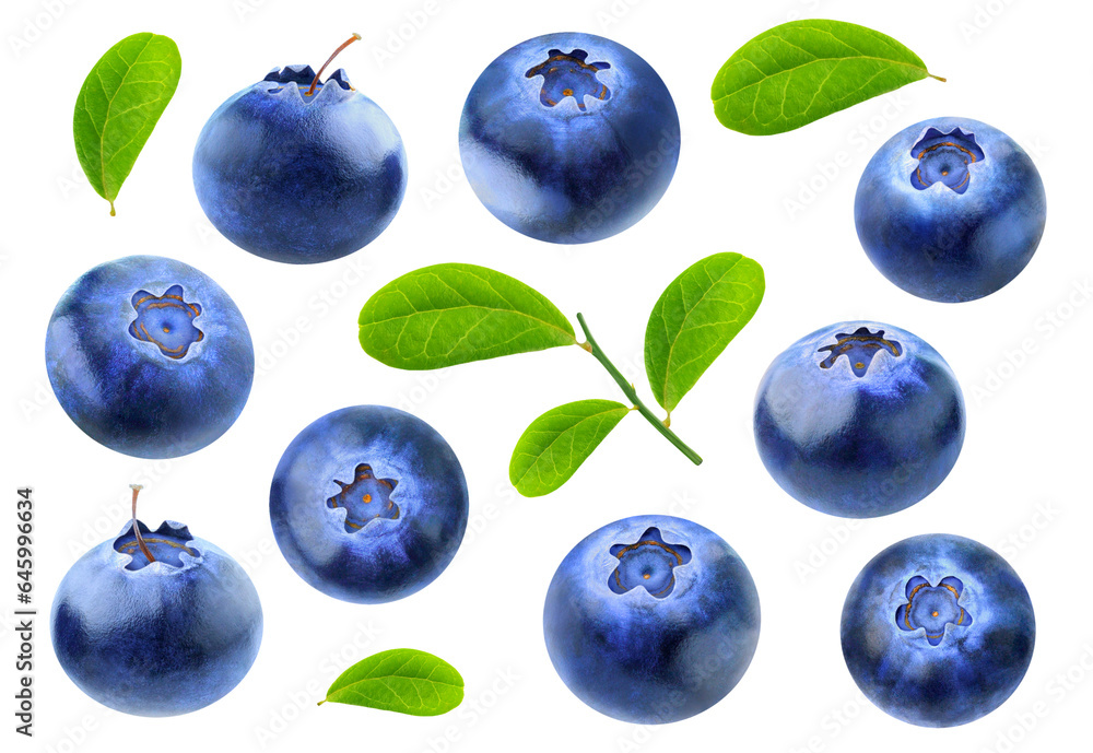 Isolated collection of blueberry fruits with leaves cutout Stock Photo ...