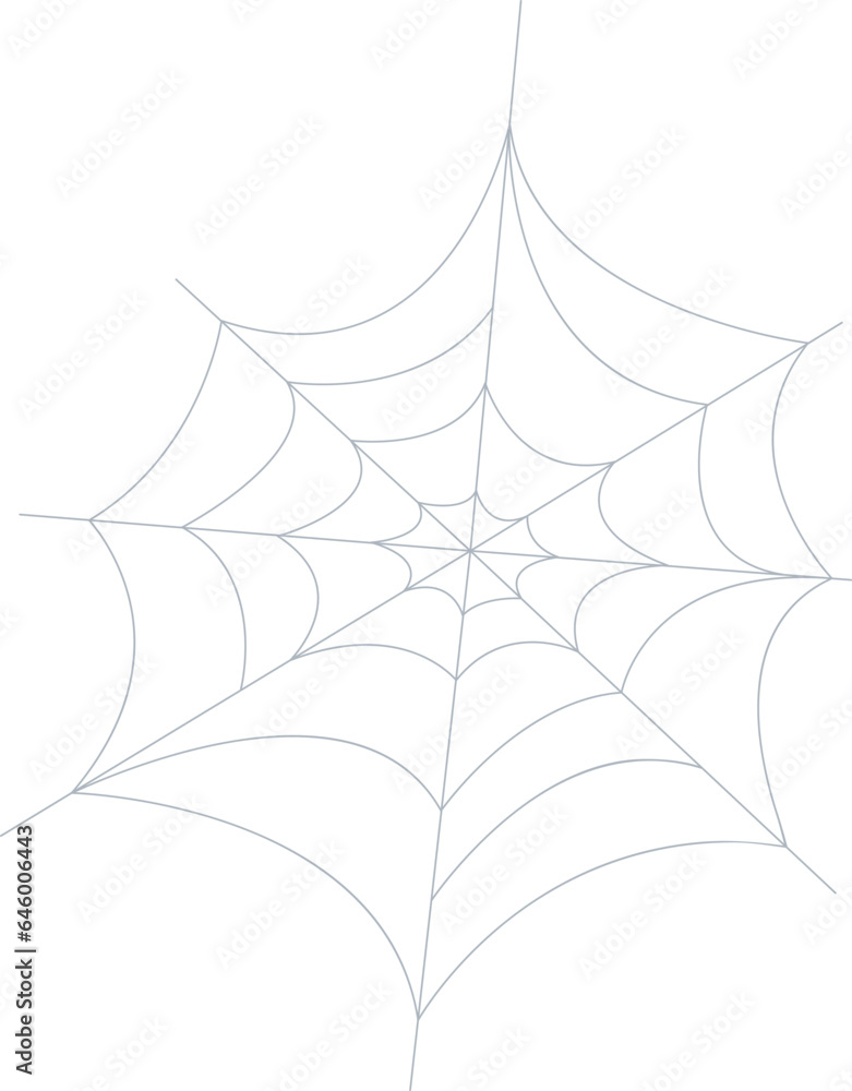 Creepy Gray and White Spider Web Silhouette Isolated : A sinister gray ...