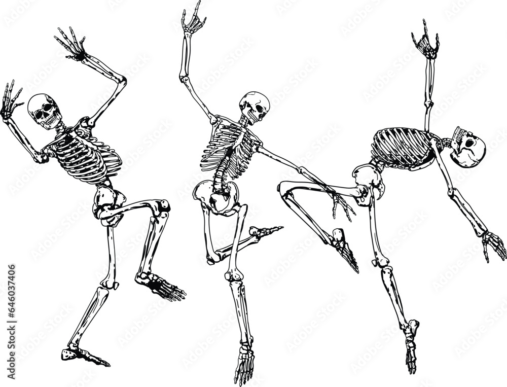 Skeleton dancing set, Skull art, Funny skeleton. Stock Vector | Adobe Stock