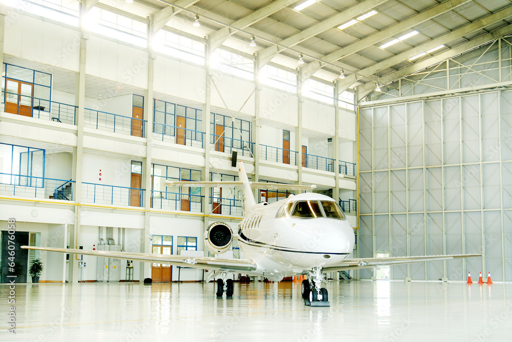 Fix wing aircraft The Gulfstream G450 is powered by twin Rolls-Royce ...