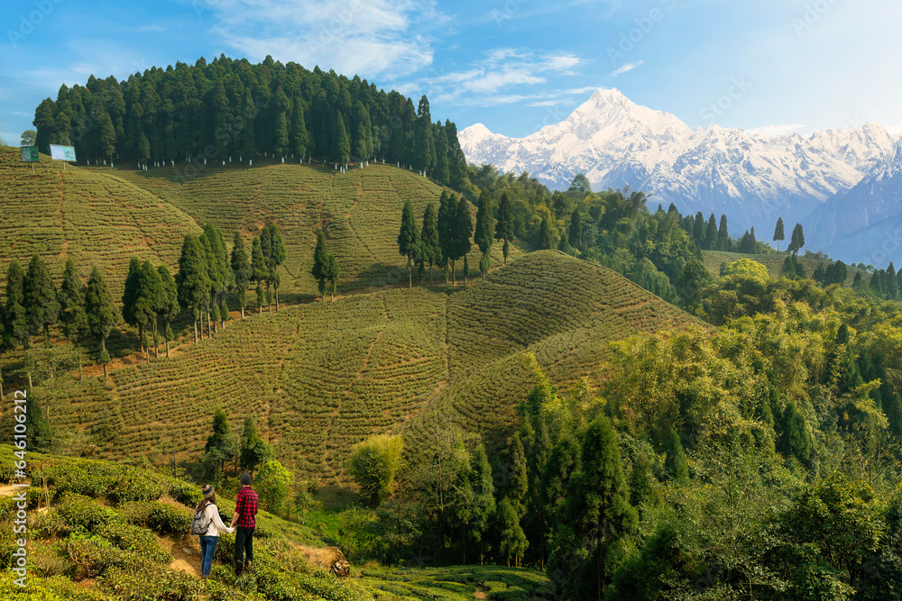 Beautiful scenic landscape with view of tea plantations on the mountain ...