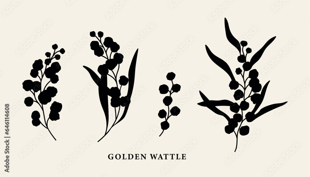 Flat vector wattle branches illustration Stock Vector | Adobe Stock