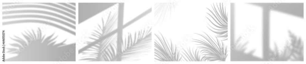 Realistic Shadow mock up scenes. Set of shadow background overlays ...