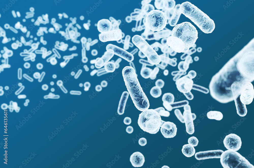 Enterobacteriaceae, gram-negative rod-shaped bacteria, part of ...