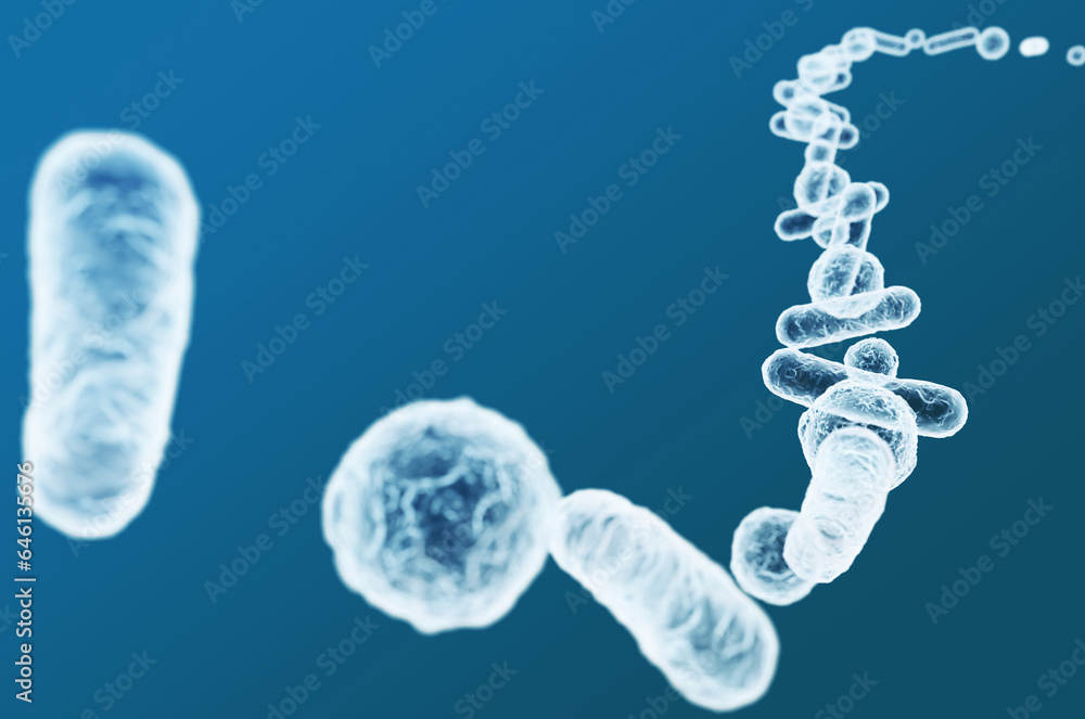 Enterobacteriaceae, gram-negative rod-shaped bacteria, part of ...