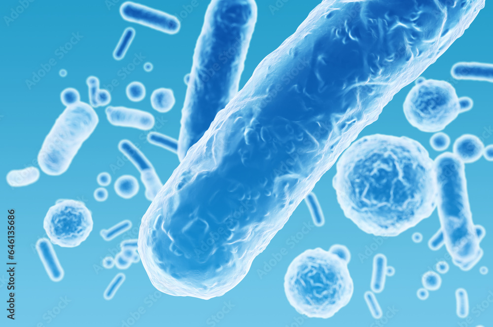 Enterobacteriaceae, gram-negative rod-shaped bacteria, part of ...