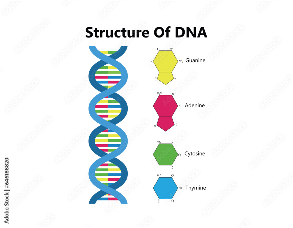 Vector Scientific Icon Spiral Of Dna And Rna An Illustration Of The
