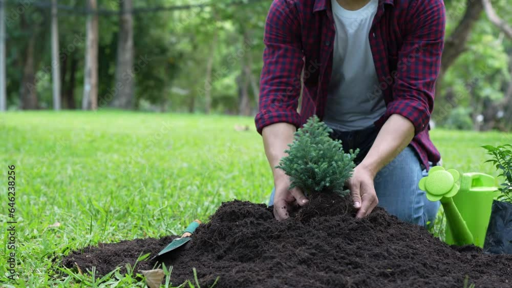 Environmental love concept, young man planting trees, planting a forest ...