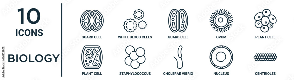 biology outline icon set such as thin line guard cell, guard cell ...