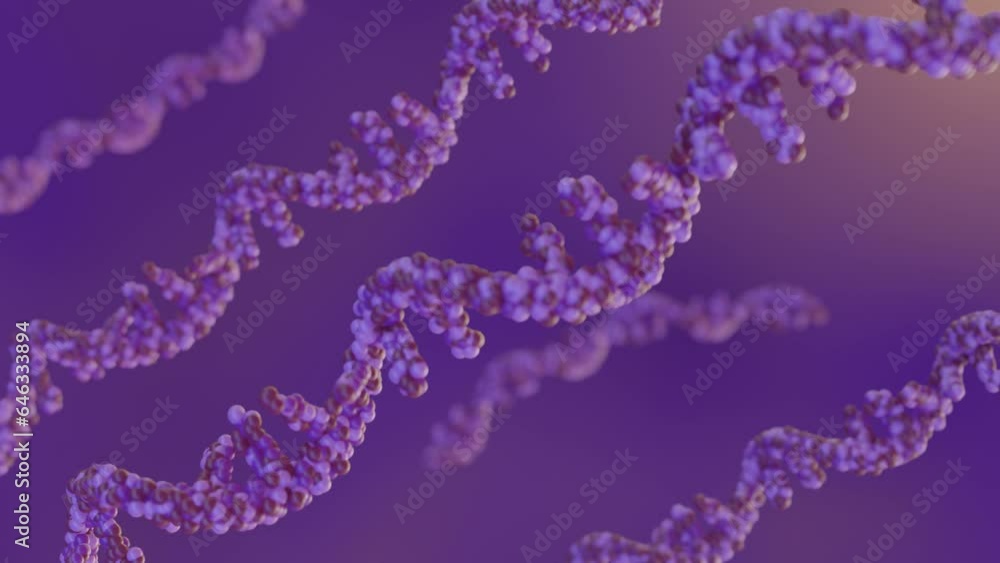RNA abbreviation of ribonucleic acid. RNA typically is a single ...