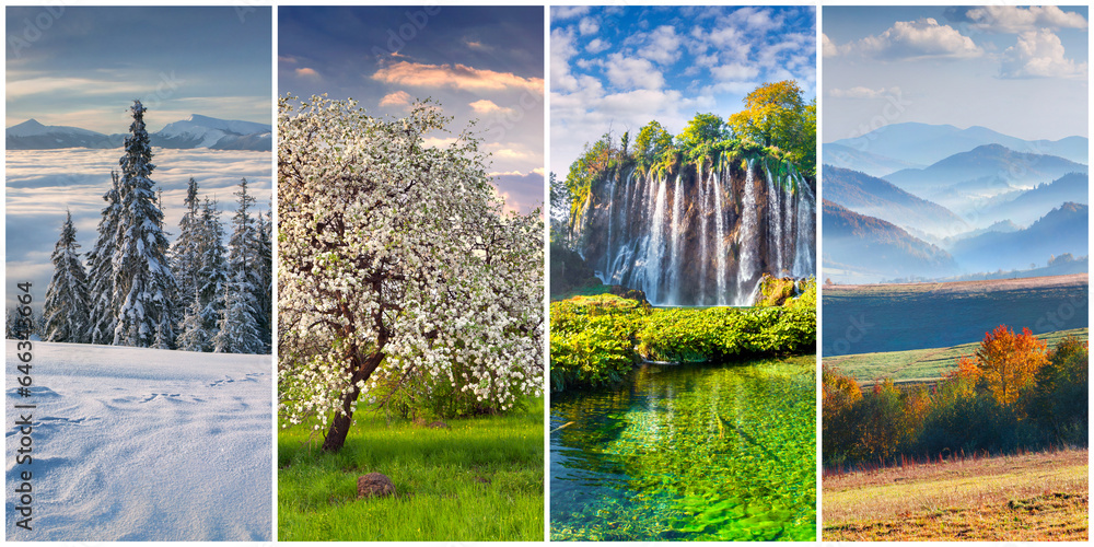 Collage of four seasons landscapes. Set of vertical pictures of nature ...