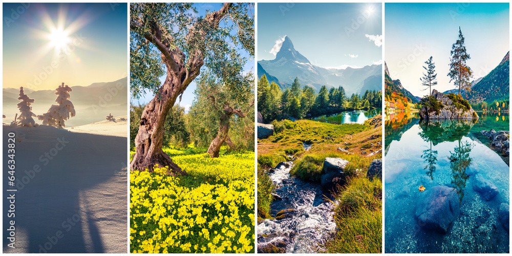 Collage of four seasons landscapes. Set of vertical pictures of nature ...