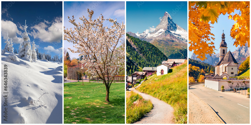 Collage of four seasons landscapes. Set of vertical pictures of nature ...